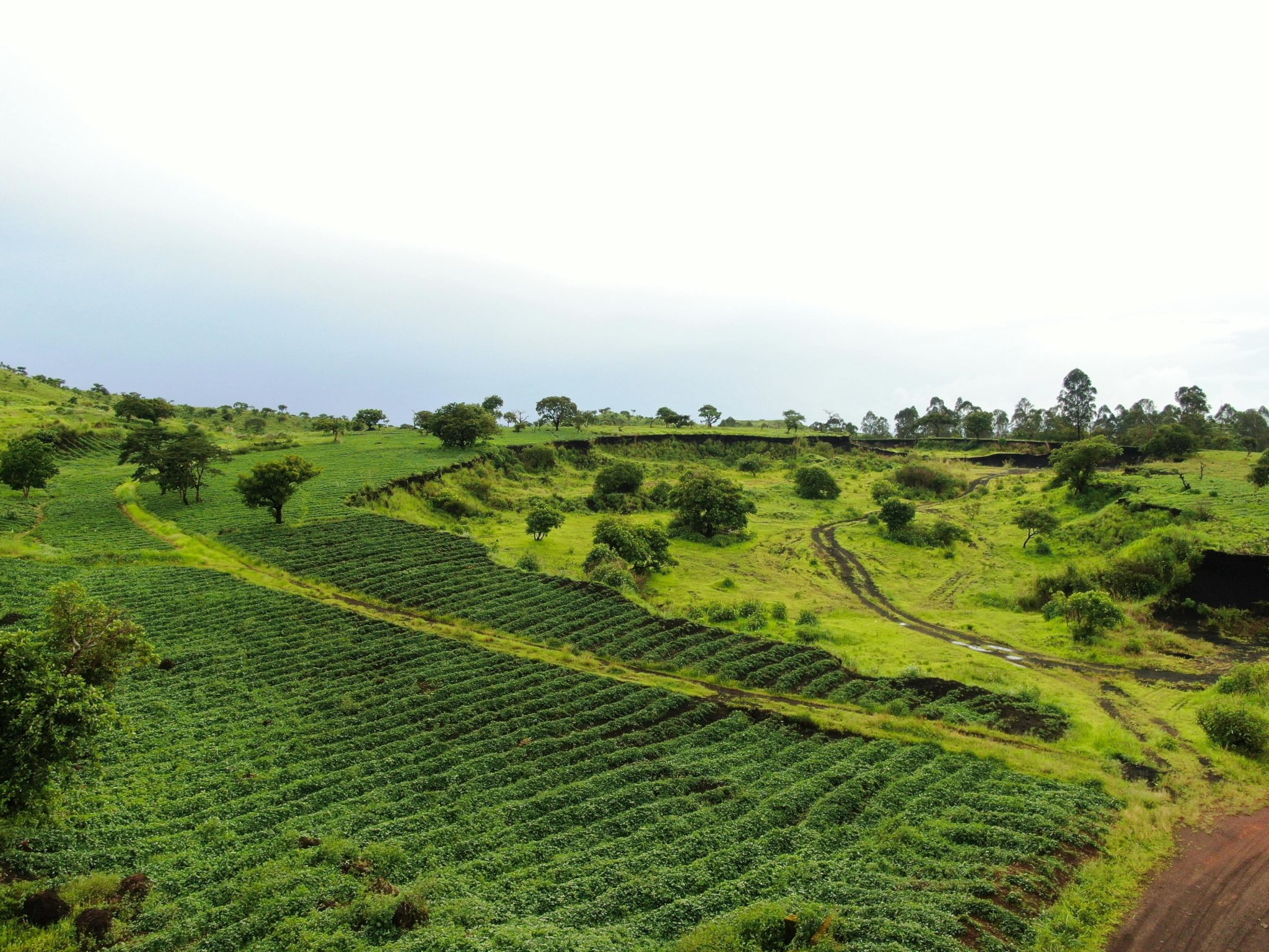 Final evaluation of the ABC PADER Program in Cameroon – Funding from ...